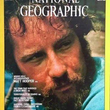 Contact Us | White Shark Logistics